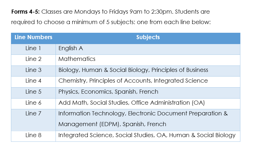 Forms 1-5 Full-Time Classes – Platinum Learning Institute